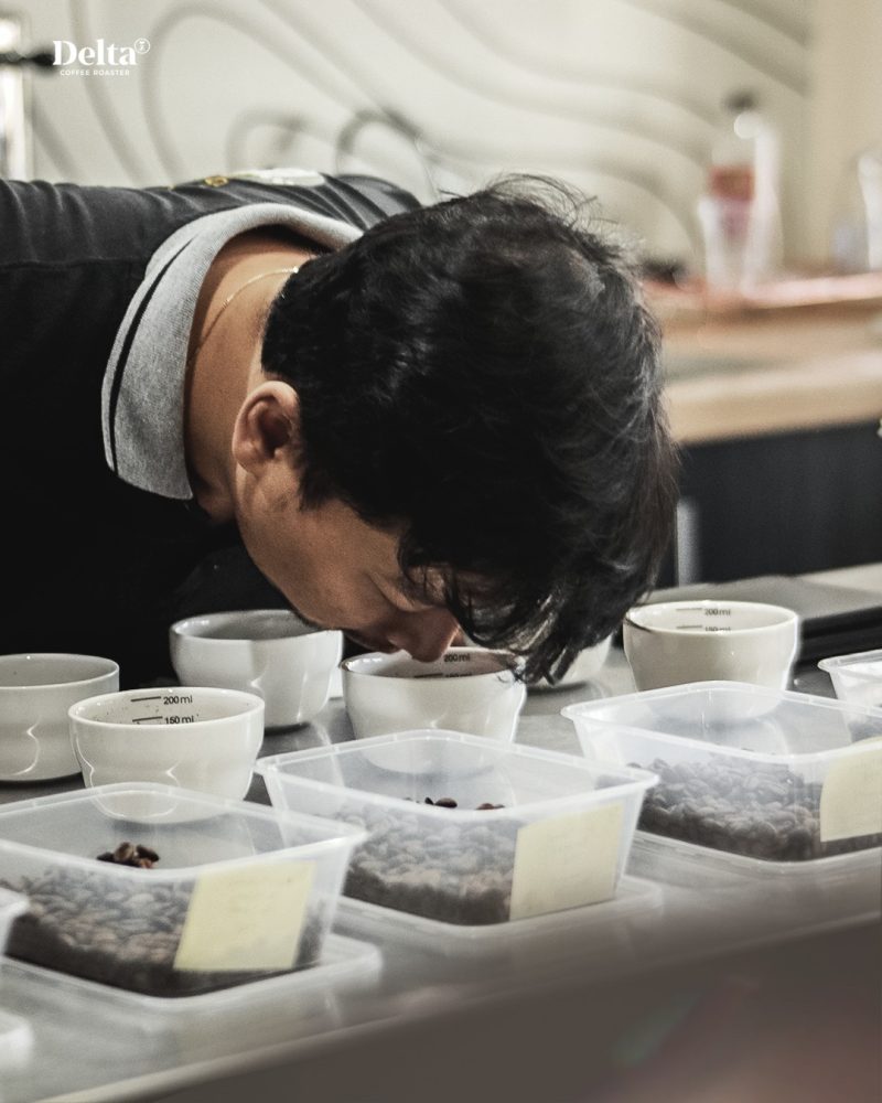 Cupping Kopi : 5 Tahap dan 4 Fungsi Cupping - Delta Coffee Roaster